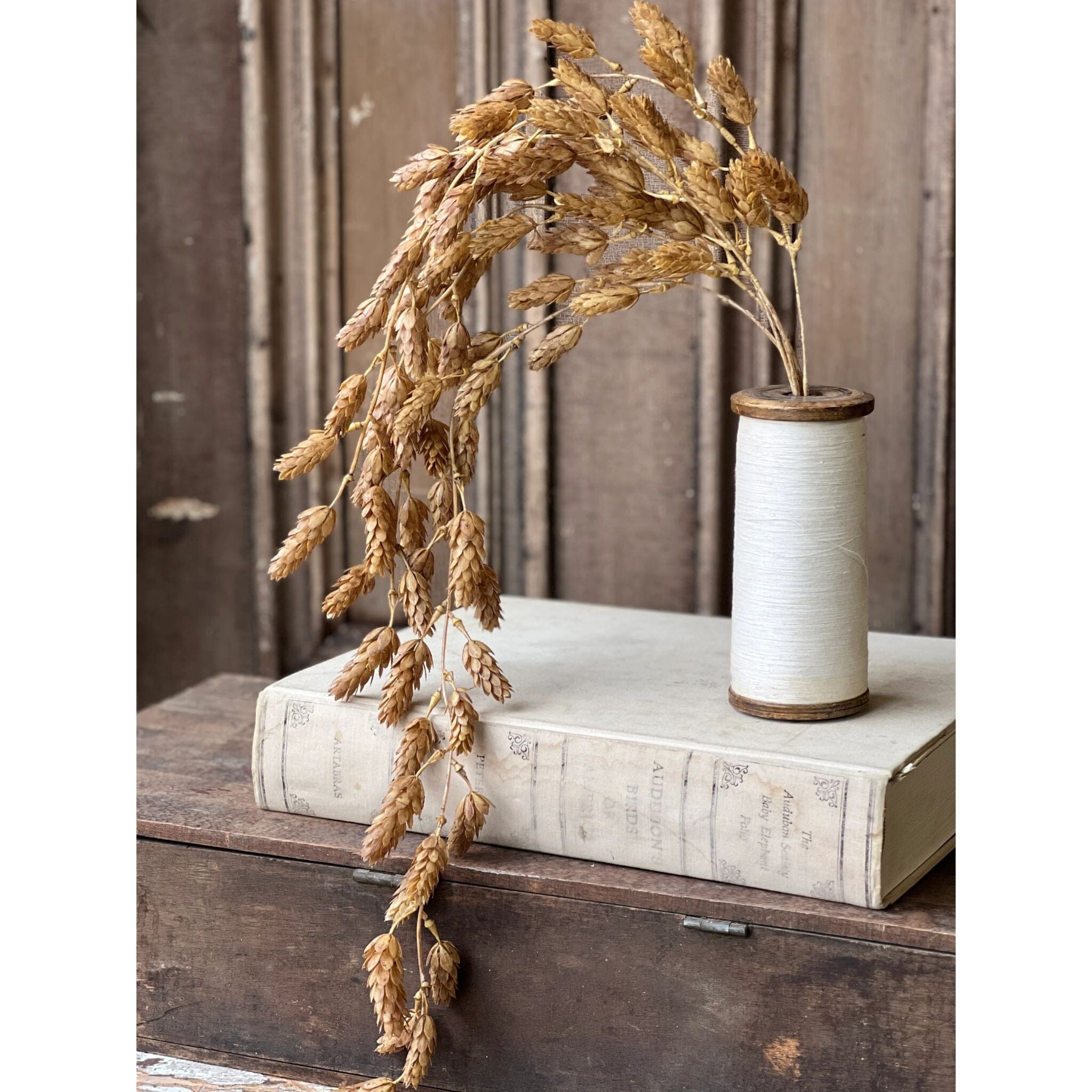 Dried Wheat Arrangements