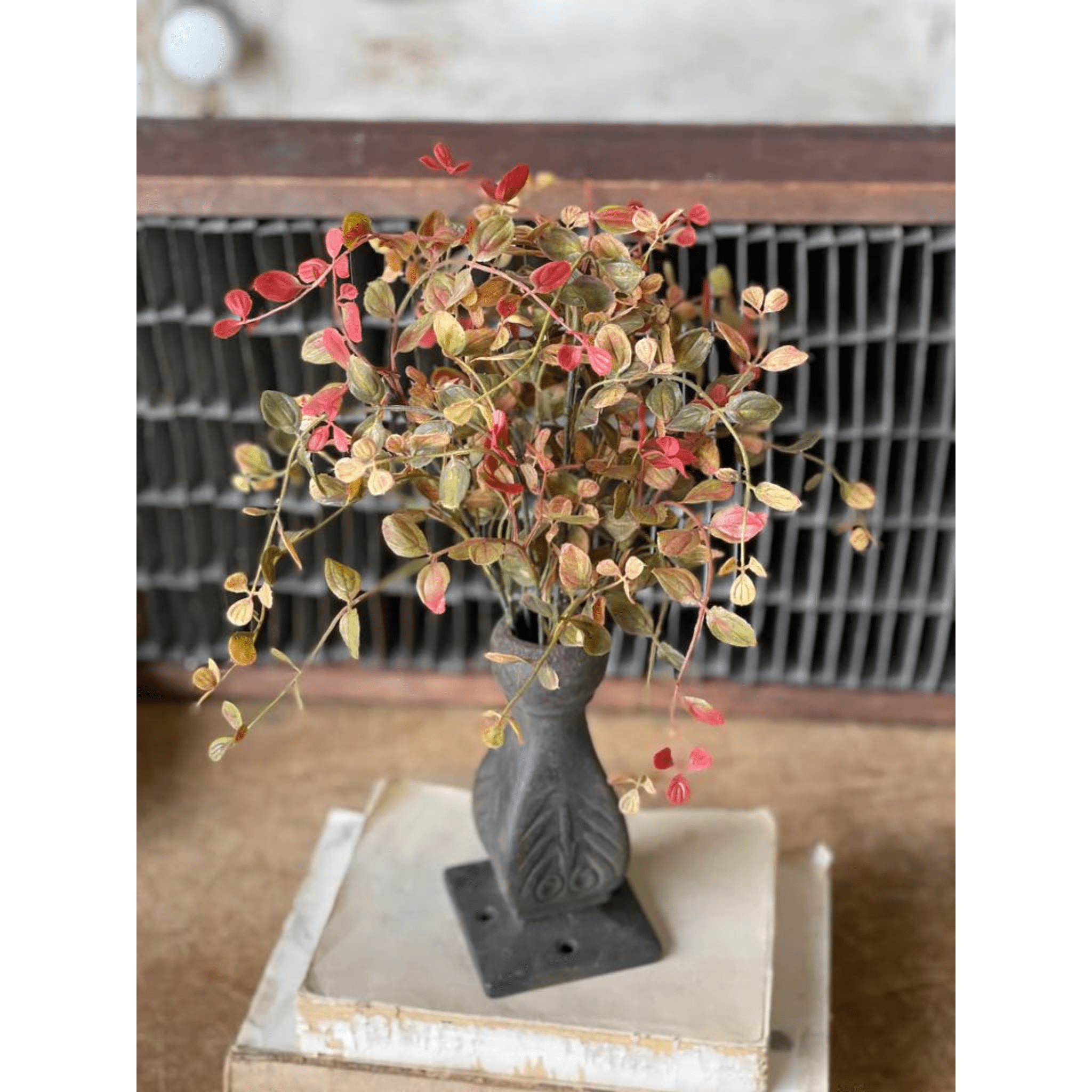 Lancaster and Vintage Autumn Bog Pimpernel Bush 12"